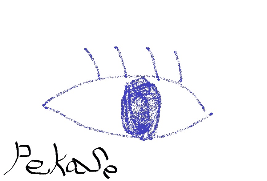 センダイ11ブログ